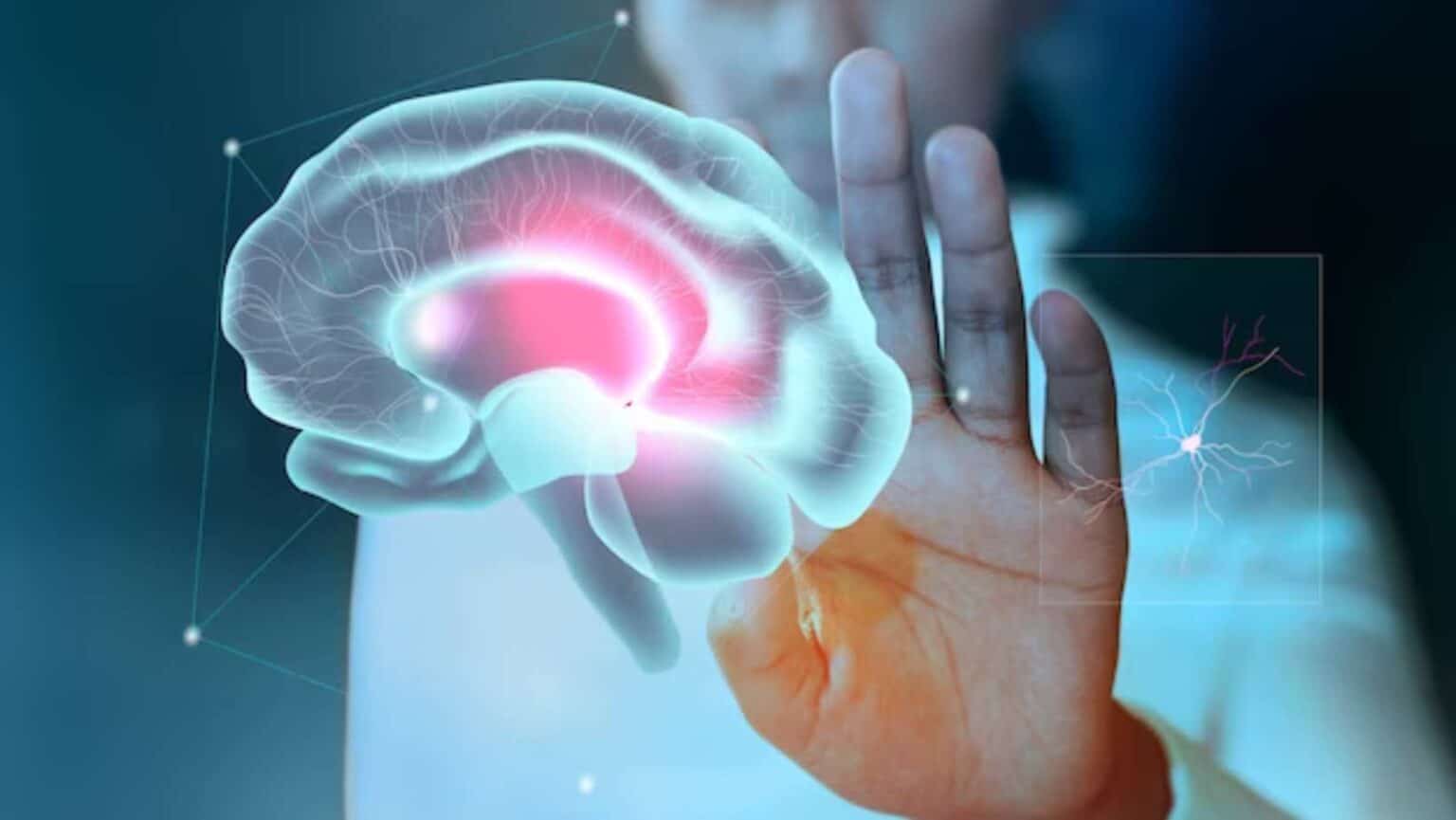 Understand difference between a Seizure and convulsion