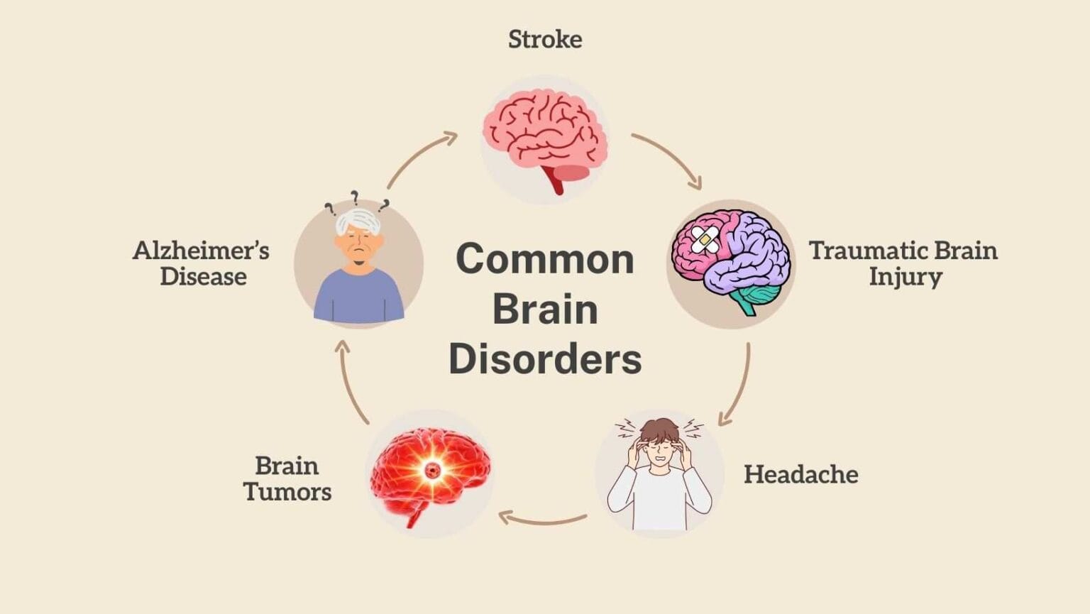 Common Neurological Disorders: Types, Causes & Symptoms